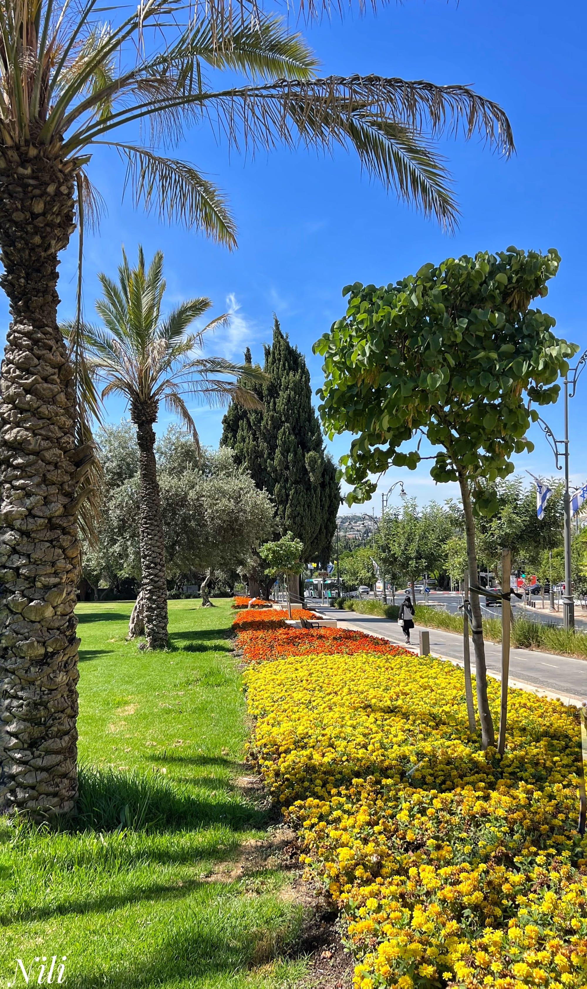 Beautiful Israel June 2024 - Nili Israel Photos