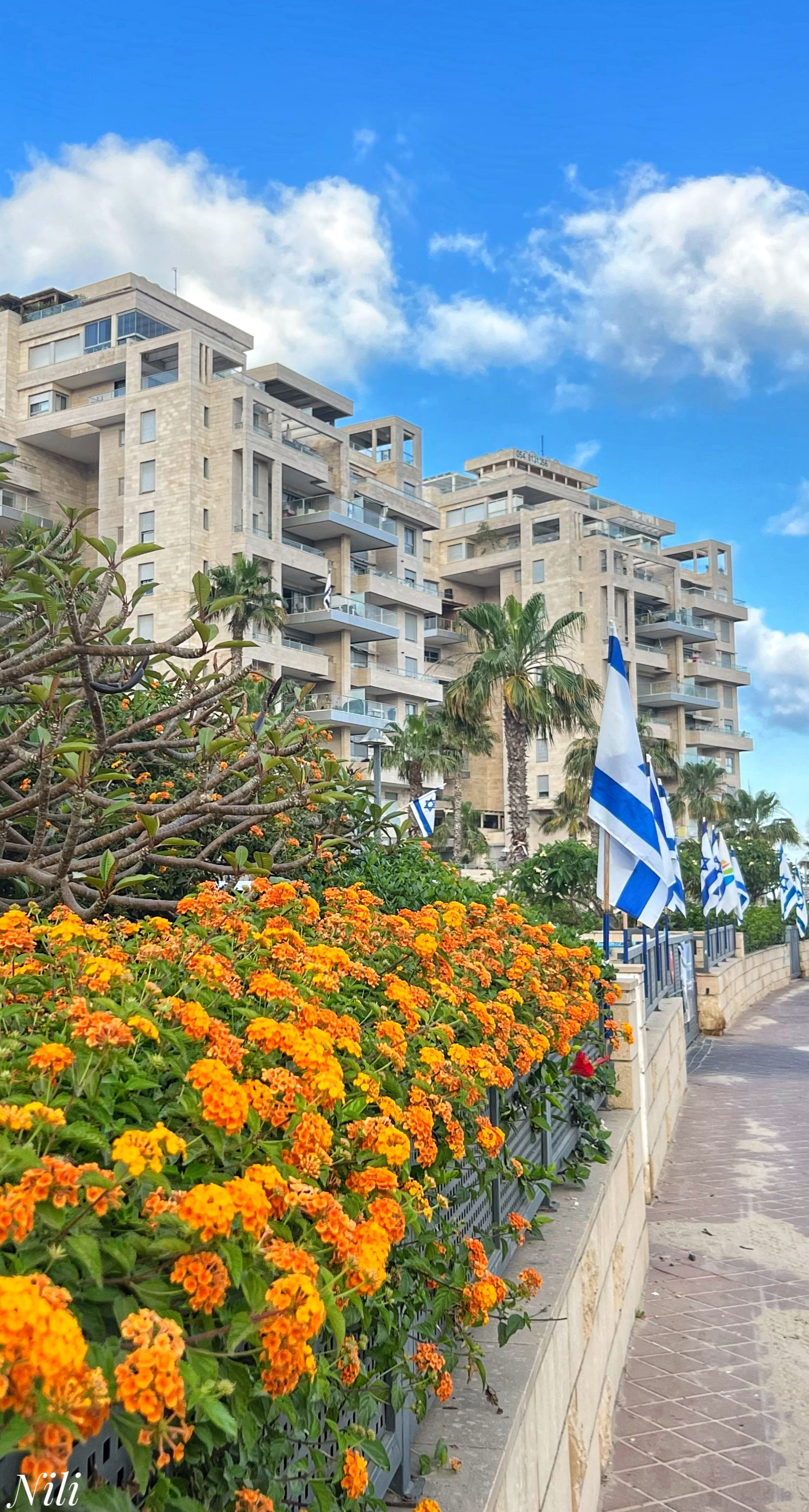 Beautiful Israel June 2024 - Nili Israel Photos