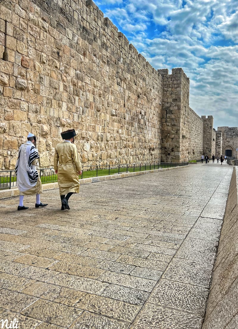 top 5 SPOTS IN the Sea of Galilee - Nili Israel Photos