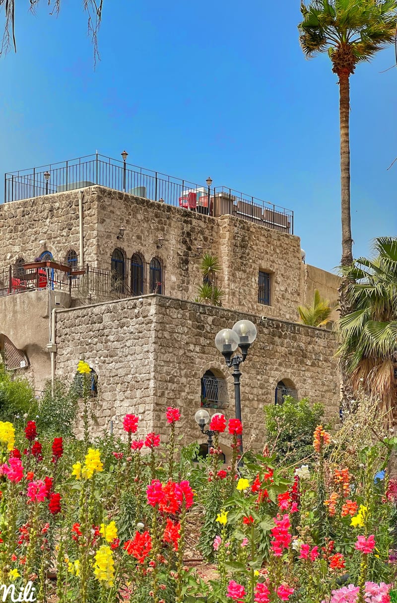 Nili Israel Photos - Welcom To Nili's Israel Photo Galleries