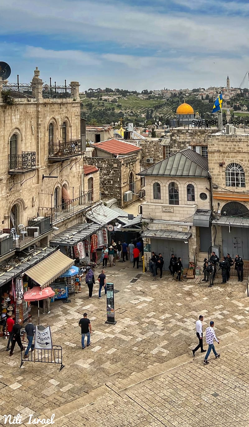 Nili Israel Photos - Welcom To Nili's Israel Photo Galleries