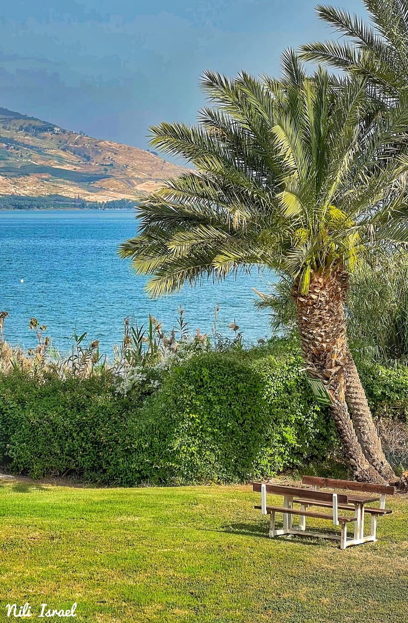 A view of Lake Kinneret from The Kinneret Academic College on the Sea ...