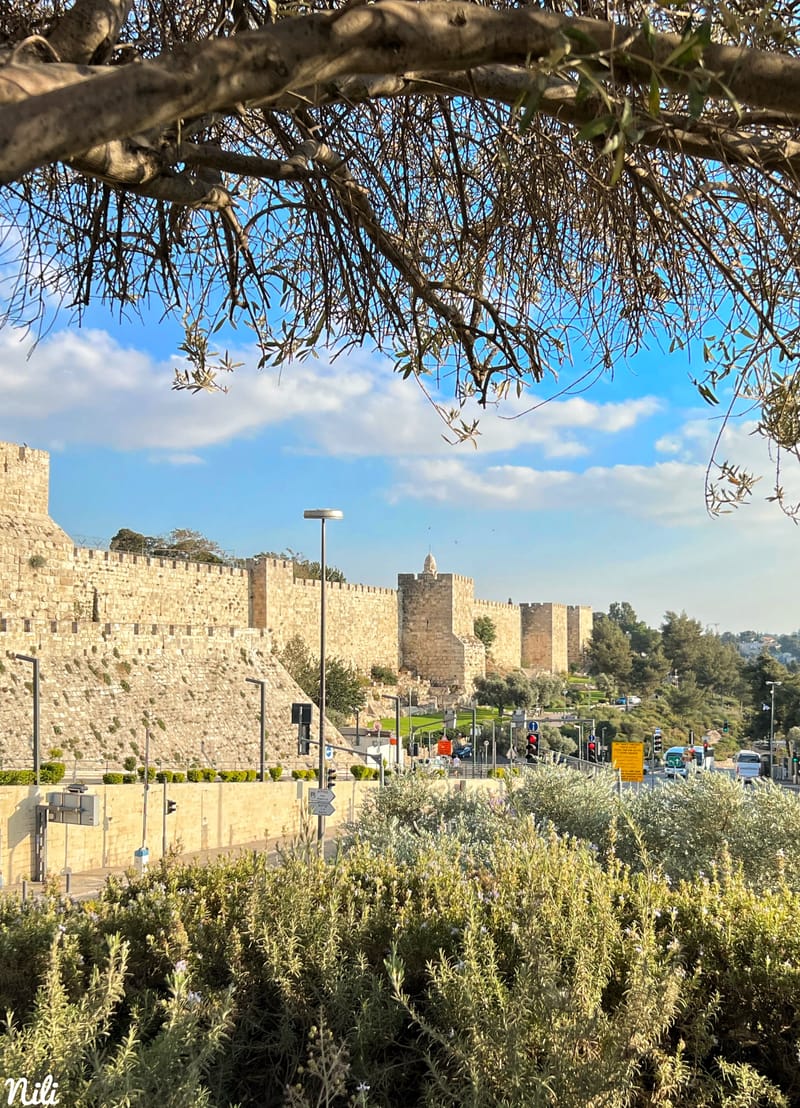 Jerusalem Walls - Nili Israel Photos