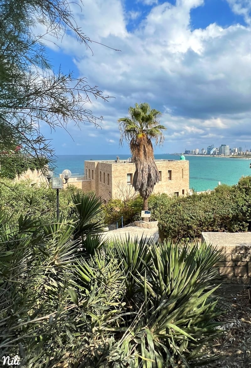 - Nili Israel Photos