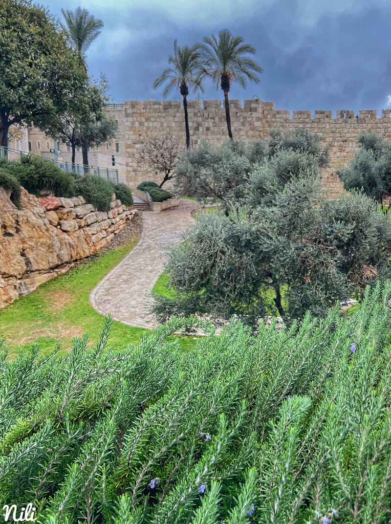 - Nili Israel Photos