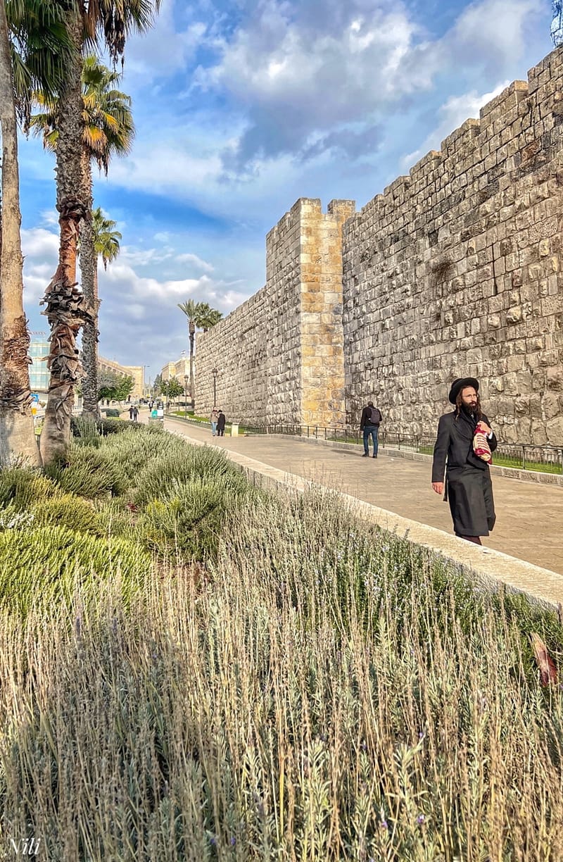 - Nili Israel Photos