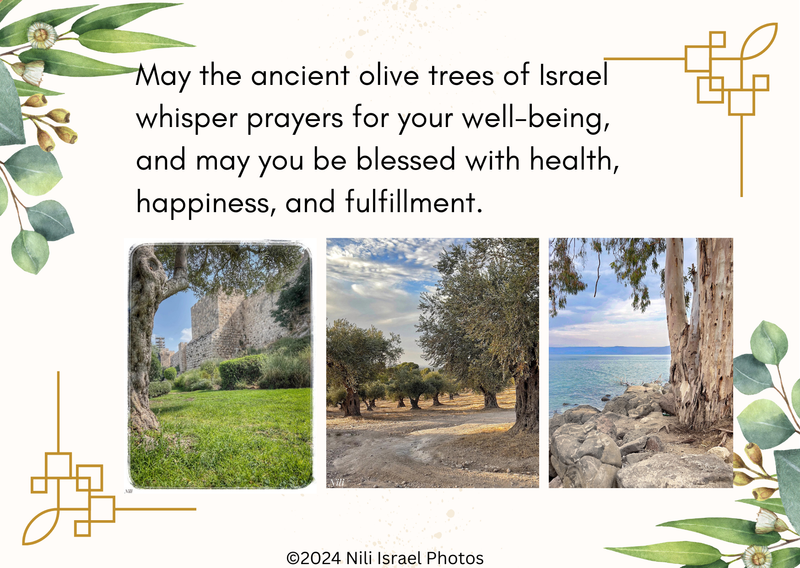 Blessing Card from Israel - Nili Israel Photos