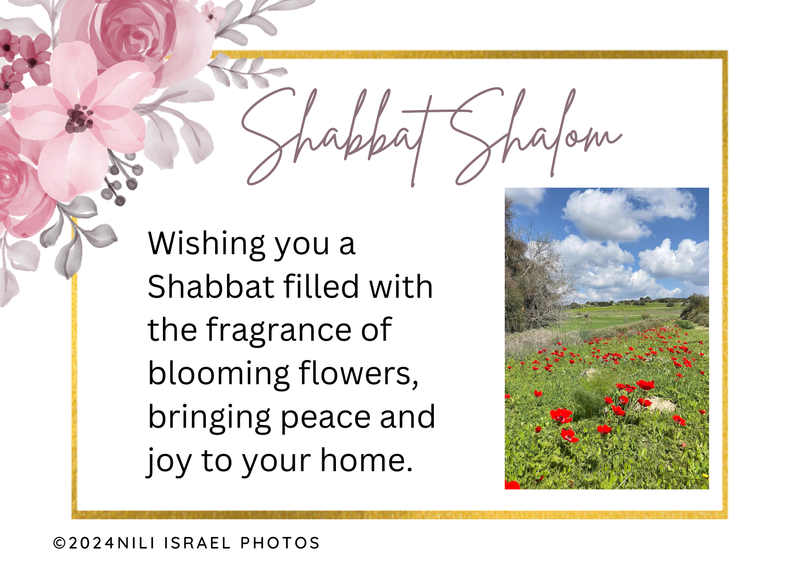 Shabbat Shalom Greeting Cards - Nili Israel Photos