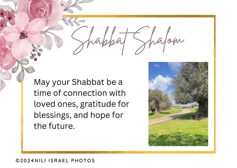 Shabbat Shalom Greeting Cards - Nili Israel Photos