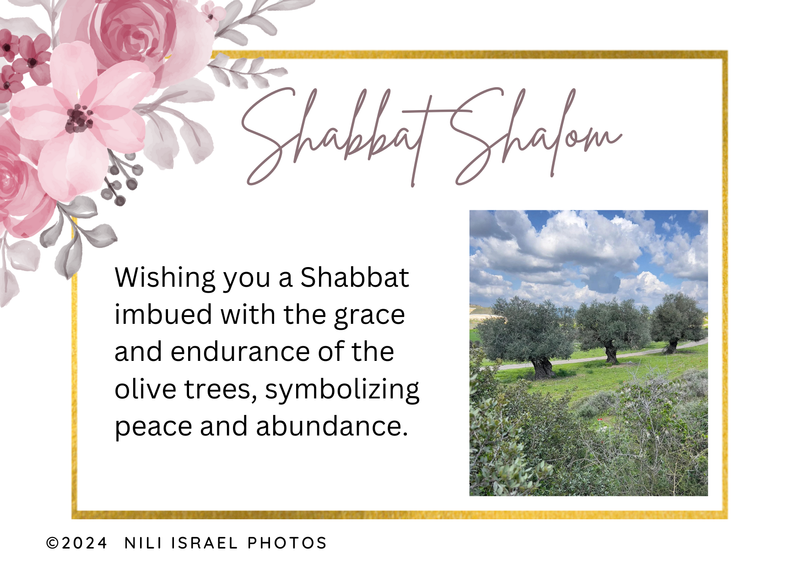 Shabbat Shalom Greeting Cards - Nili Israel Photos