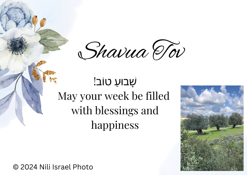 Shavua Tov Greetings Cards - Nili Israel Photos