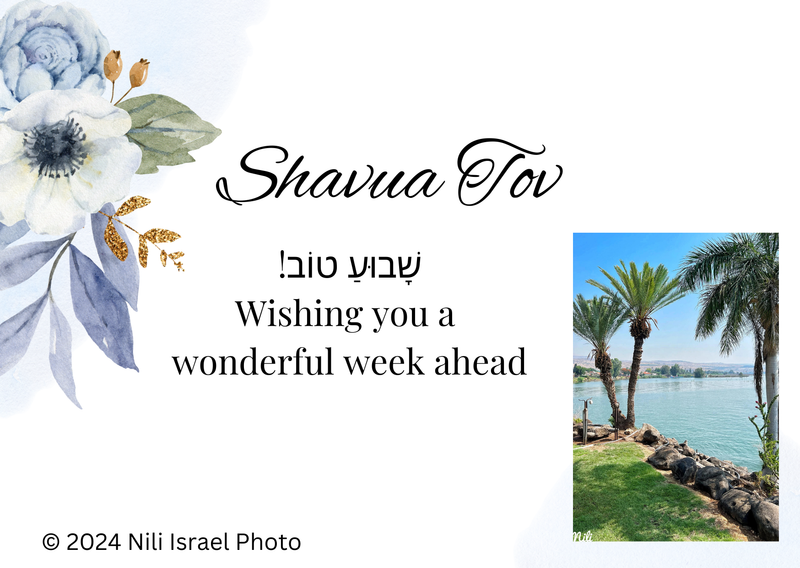 Shavua Tov Greetings Cards - Nili Israel Photos