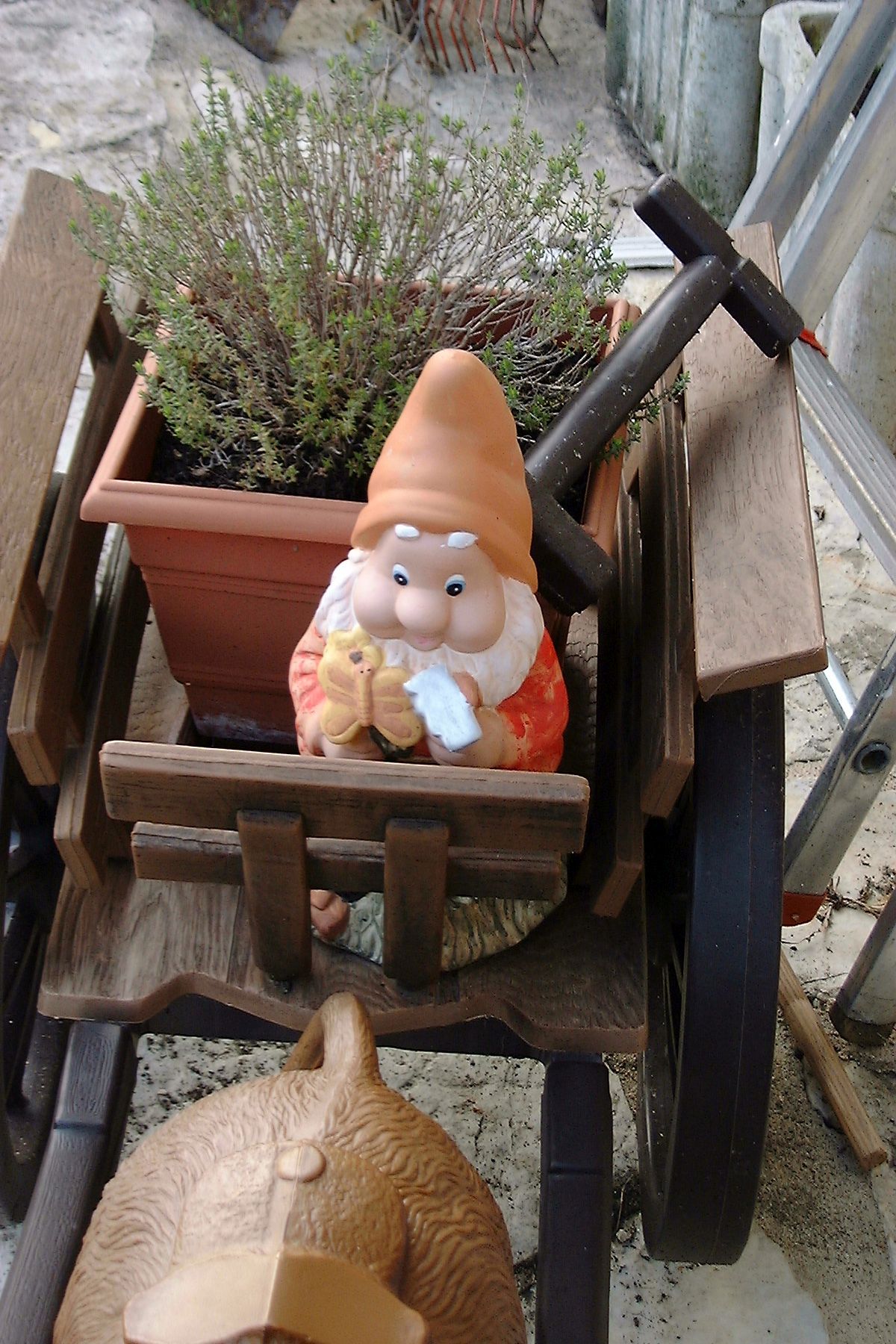 Hommage au nain du jardin, au singulier il se transforme en une quête ...