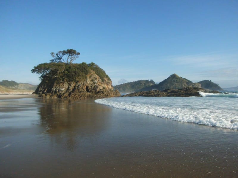 Oruawharo Medlands Ecovision