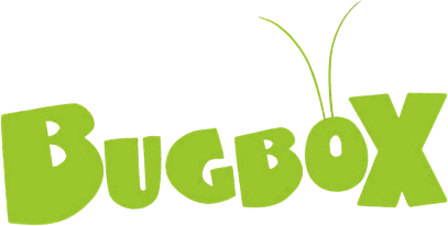 About Us - bugbox animation
