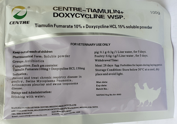 TOSAM INTEGRATED SERVICES LTD