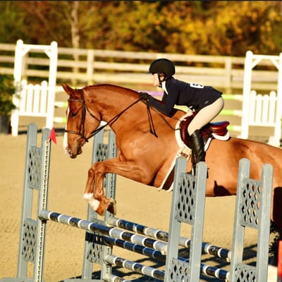 POEC - Pleasant Oaks Equestrian Center
