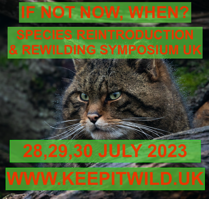 Keep It Wild - Photo Max Lewis