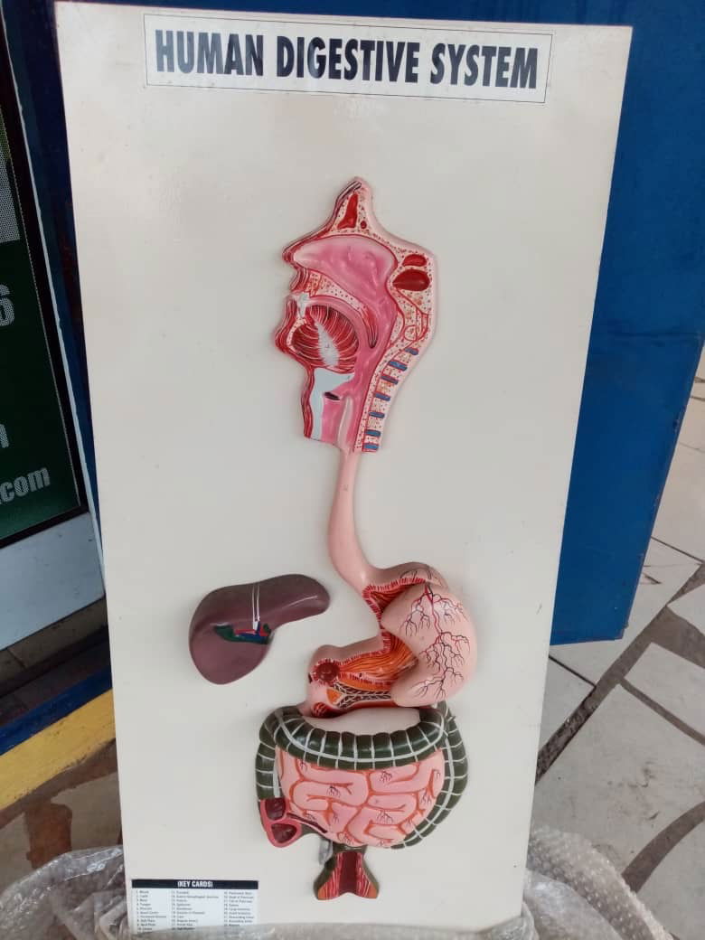 Frantech Lab Services