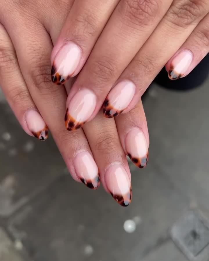 lotusnailedinburgh.co.uk - Lotus Nail Edinburgh