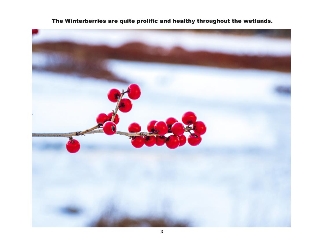 Bob Fleck Photography