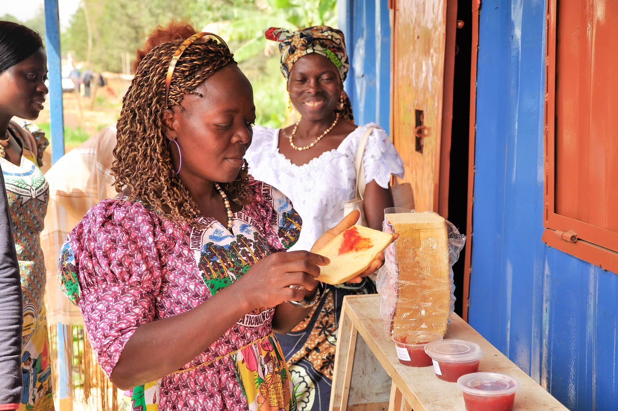 Food Transformation & Preservation Training - 2013 - Bambui, Northwest ...