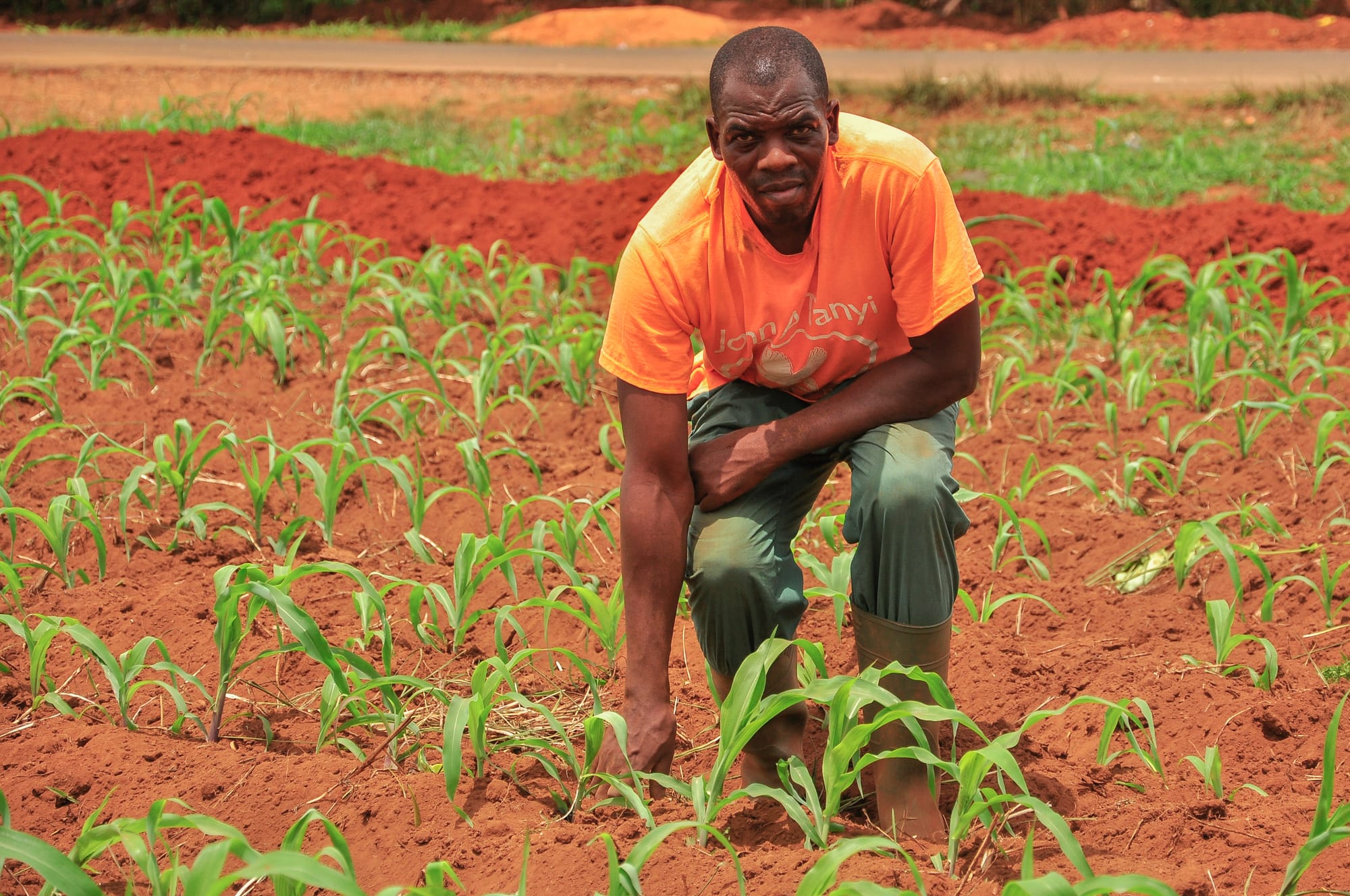 NGONG Impact - 2016 – 2018 - Bambui, Northwest Region, Cameroon ...