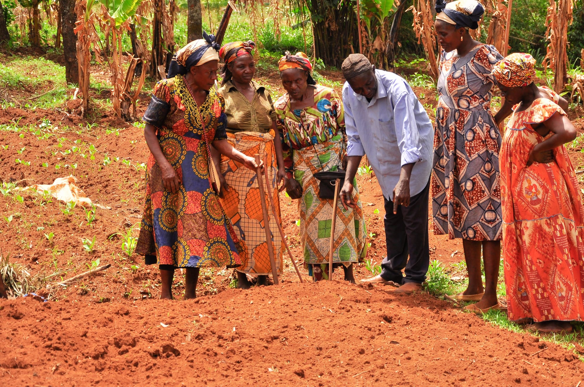 NGONG Impact - 2016 – 2018 - Bambui, Northwest Region, Cameroon ...