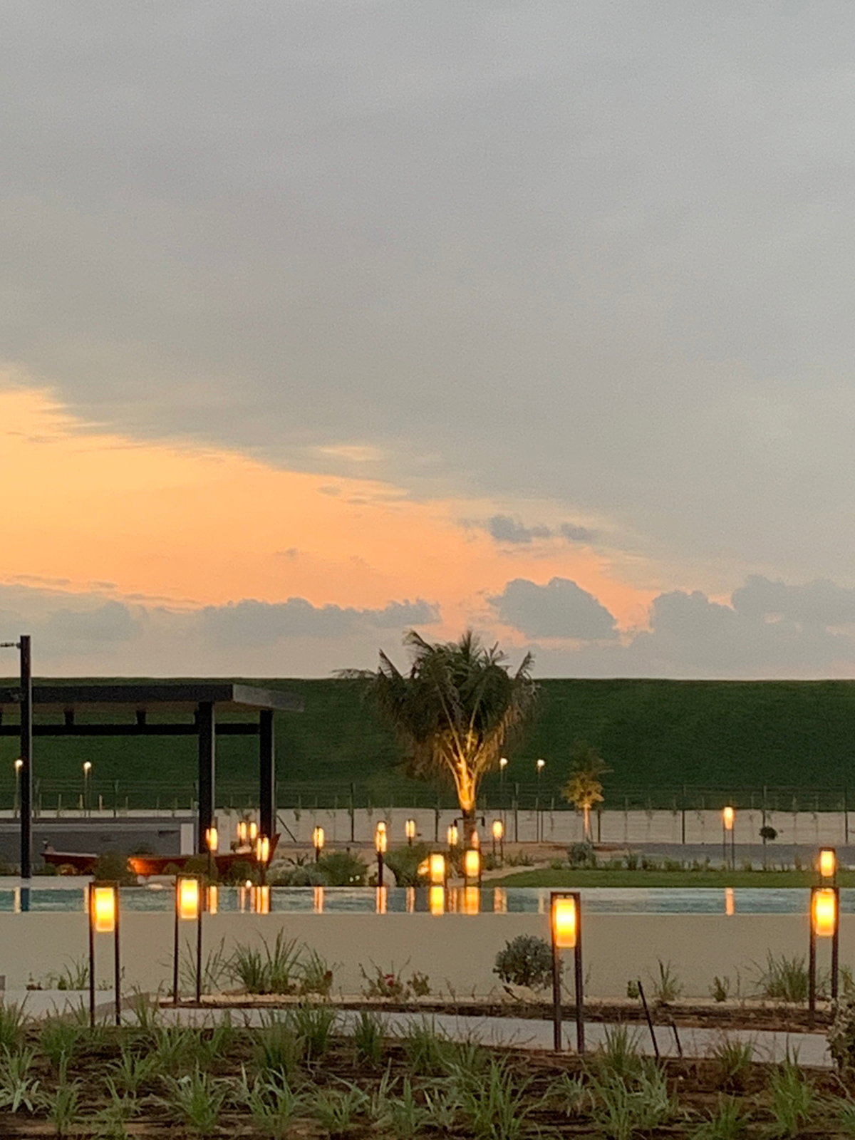 Landscaping Companies UAE | Best Landscaping Companies Dubai
