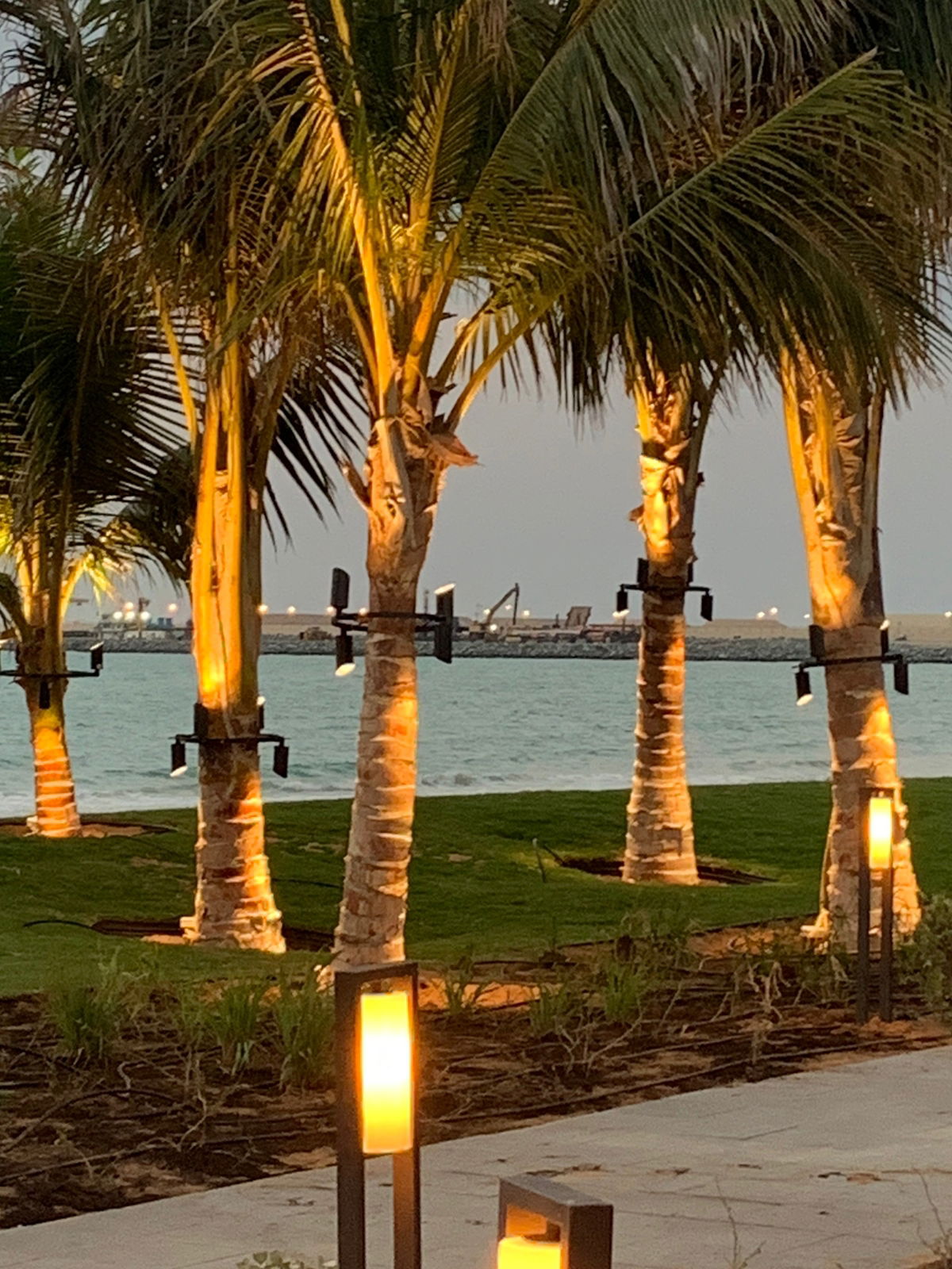 Landscaping Companies UAE | Best Landscaping Companies Dubai