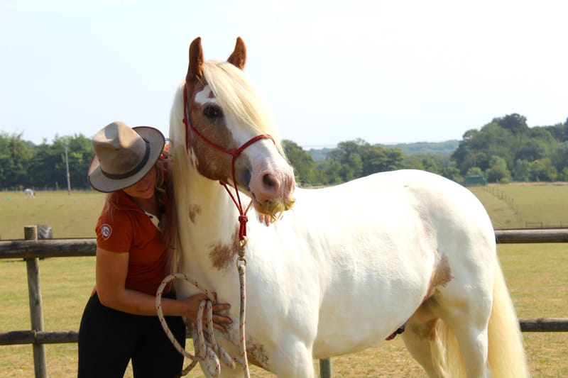 Barefoot and Back to Nature Consultancy - Barefoot and Back to Nature