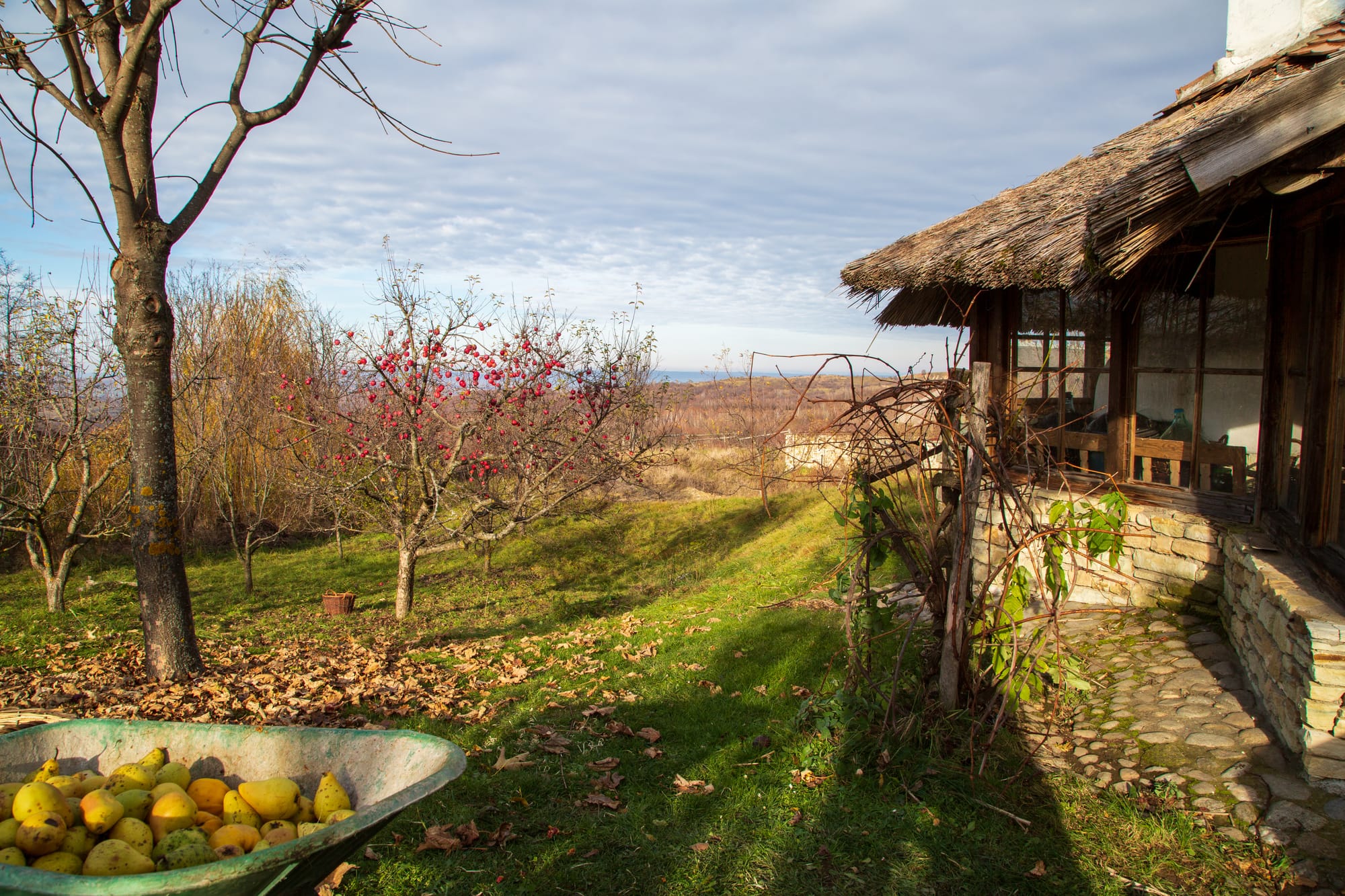 Informații & Galerie - Pensiunea Casele cu Stuf