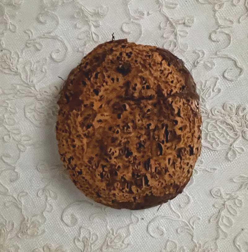 Antique Cork Pate Bisque Head Doll - Hearts Will Play