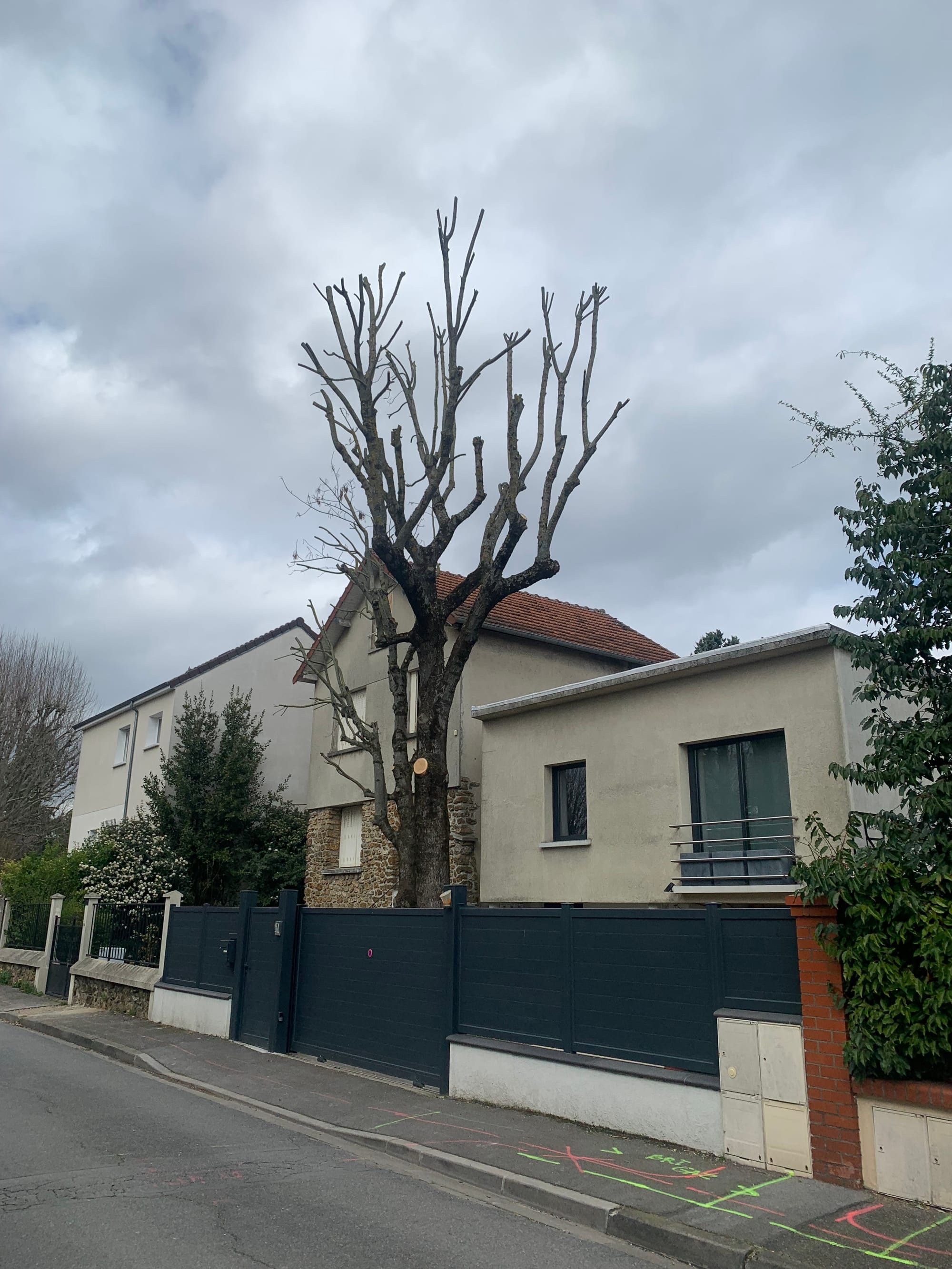 Paul sauser artisans Élagueur paysagiste - Paul Sauser artisans ...