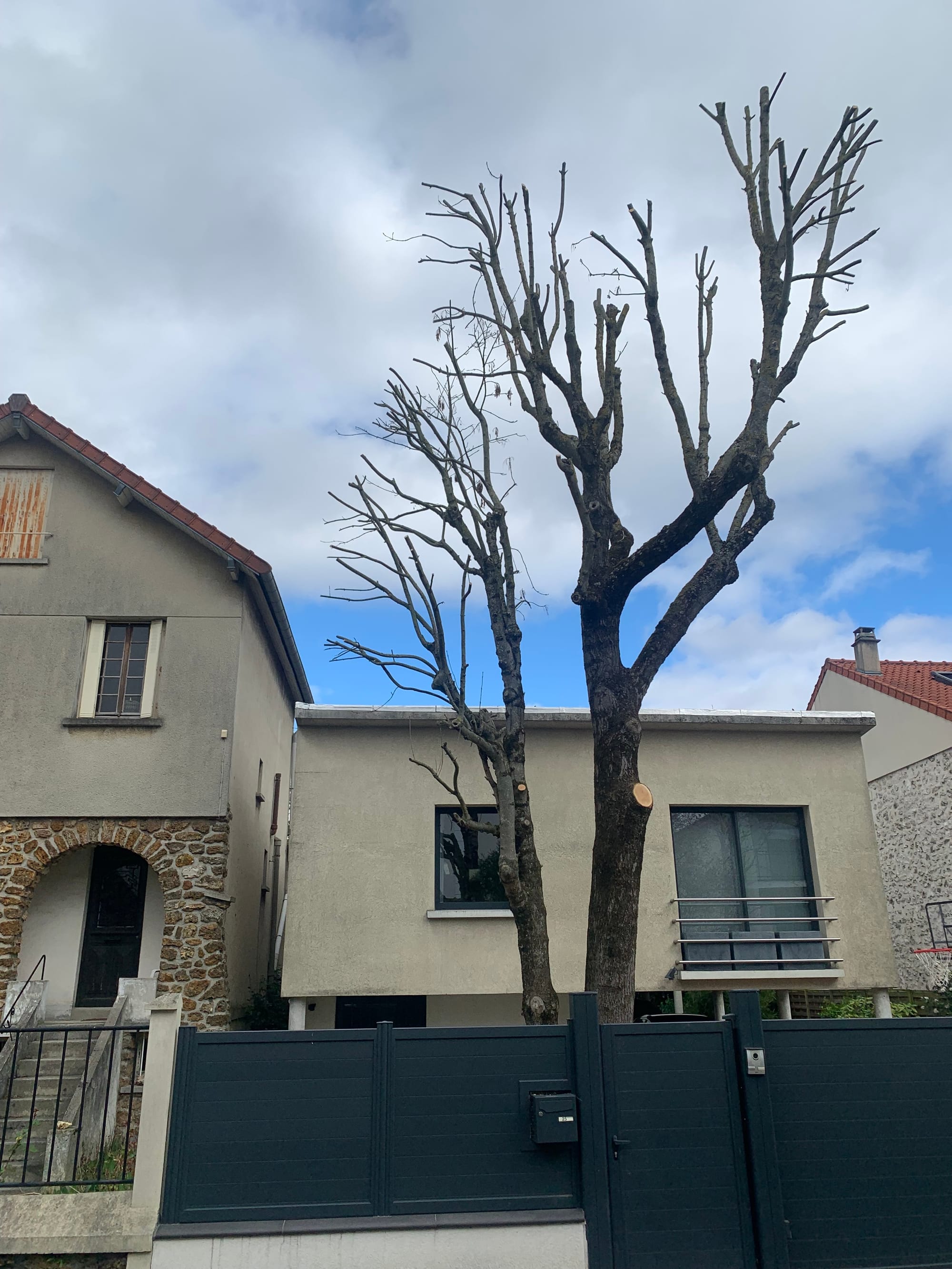 Paul sauser artisans Élagueur paysagiste - Paul Sauser artisans ...