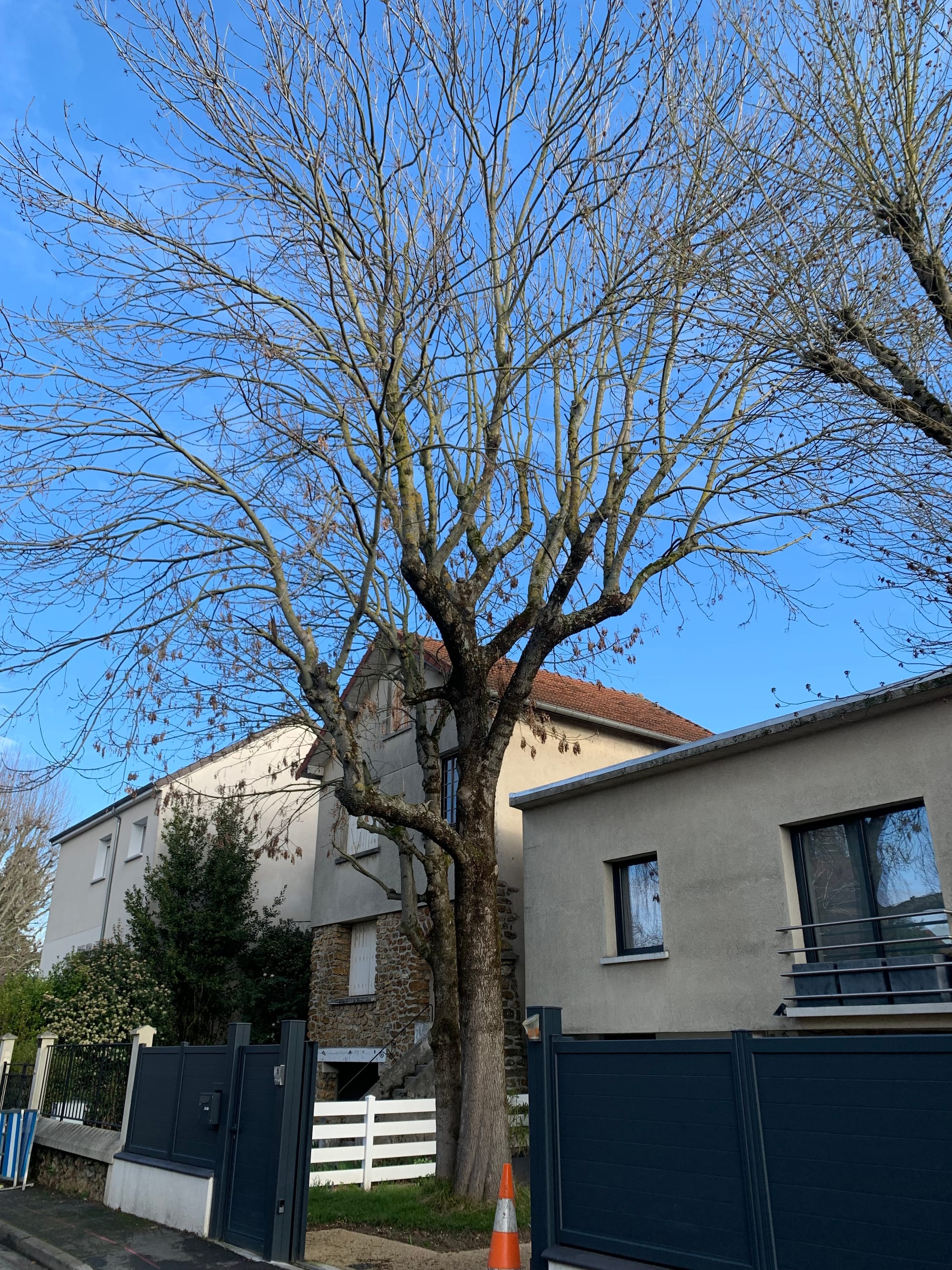 Paul sauser artisans Élagueur paysagiste - Paul Sauser artisans ...