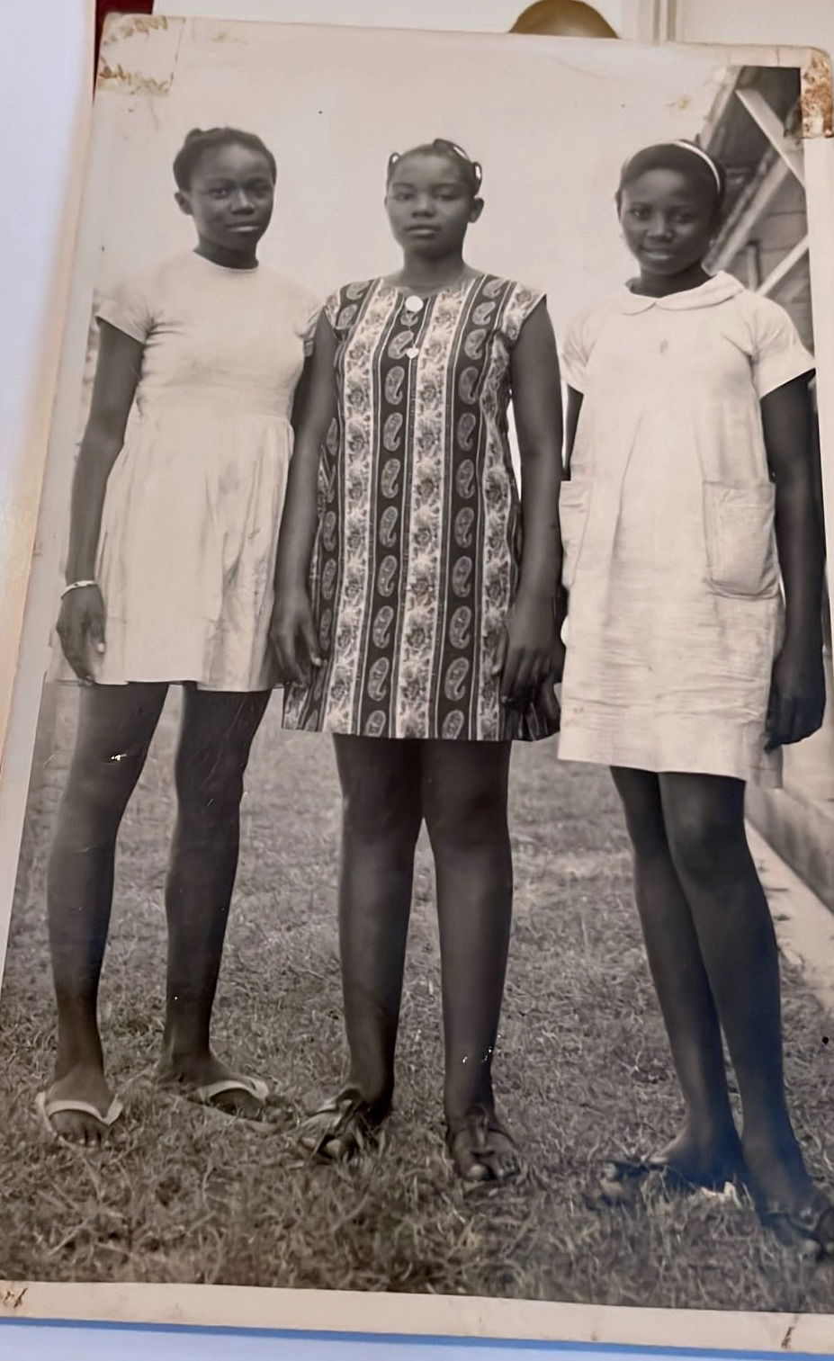 Gallery - 6973SLIOGA