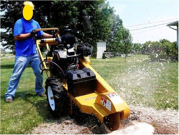 Services Espaces verts - NDF Location-Vente-Services