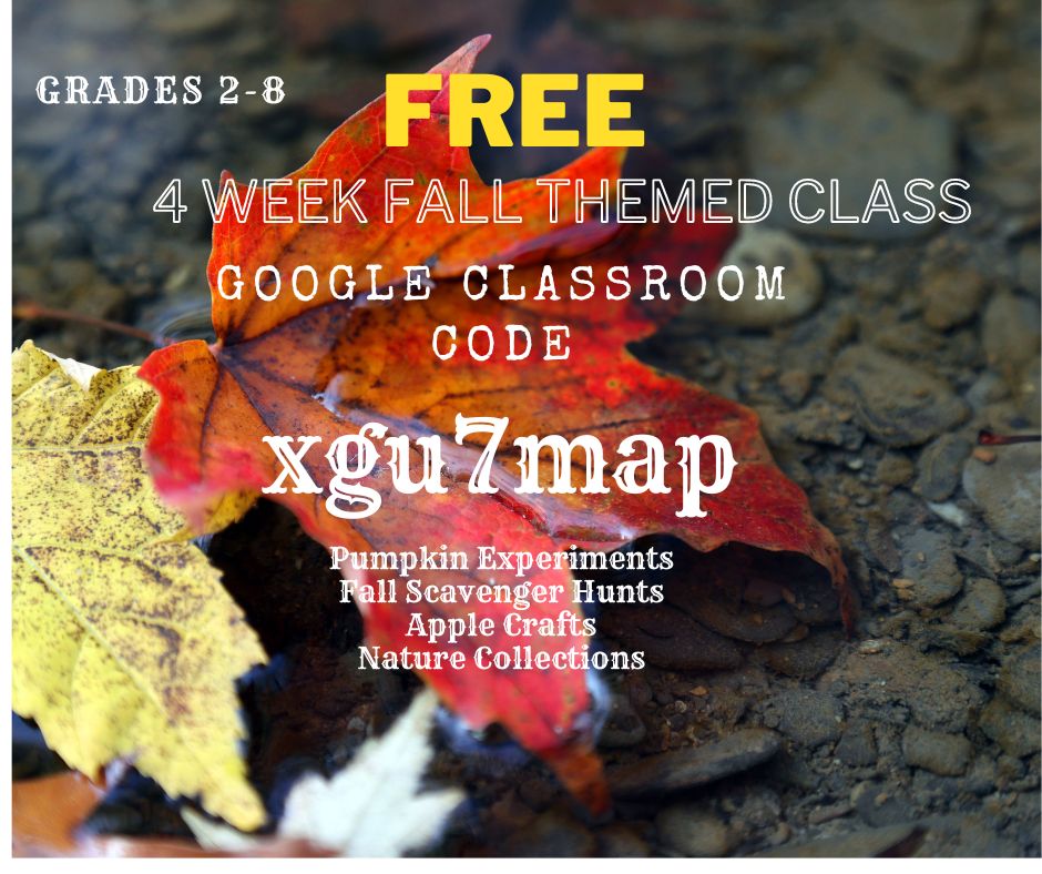 Science With Mrs. Collins