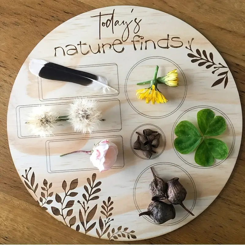 Science With Mrs. Collins