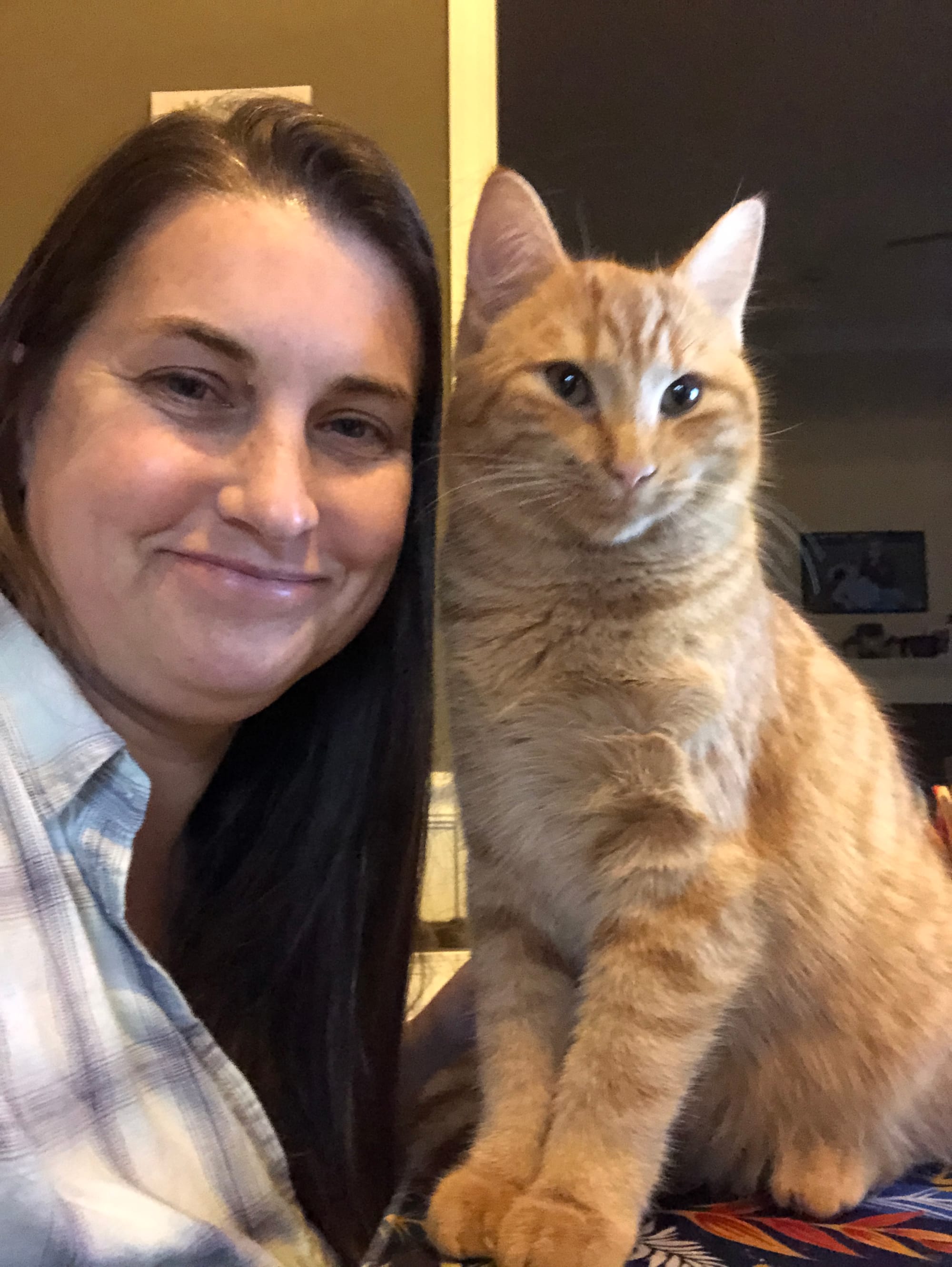 Science With Mrs. Collins