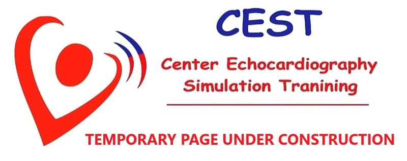 CEST - CEST: Professional Simulation Training