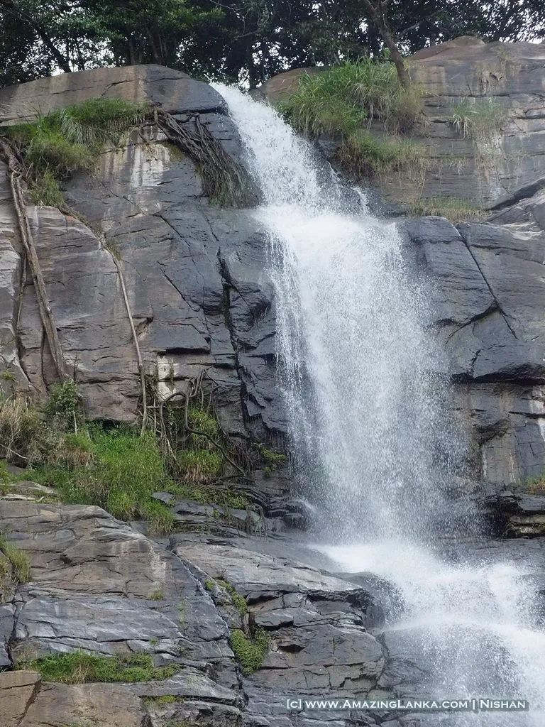 Visari Ella - Ella Nine Peaks