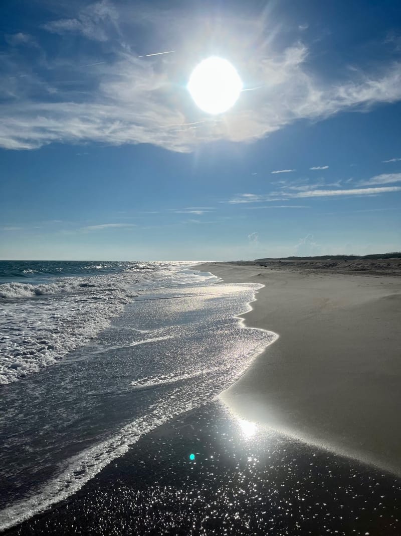Sarah Ochoa Counseling, LLC