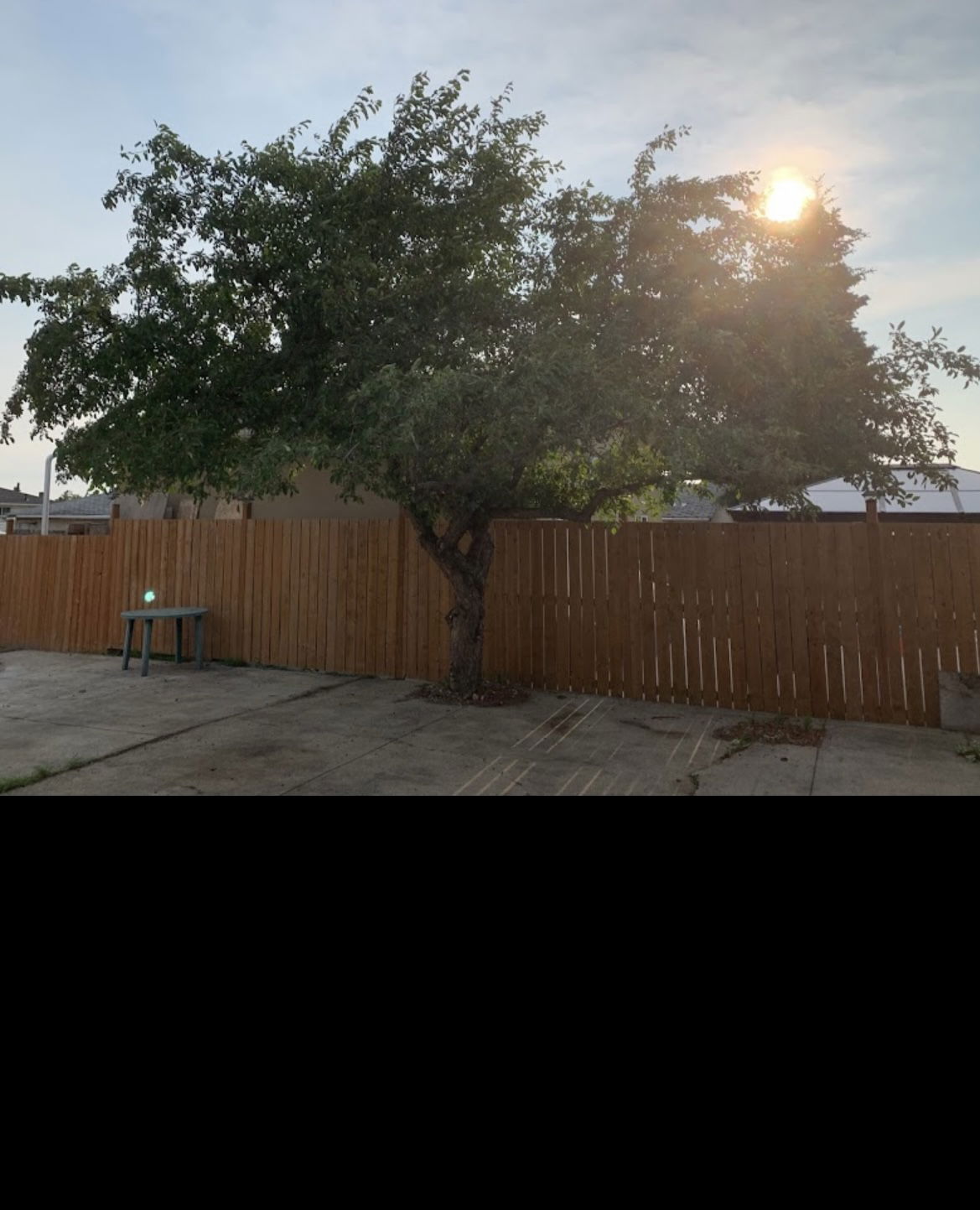 ISA Certified Arborists - Edmonton