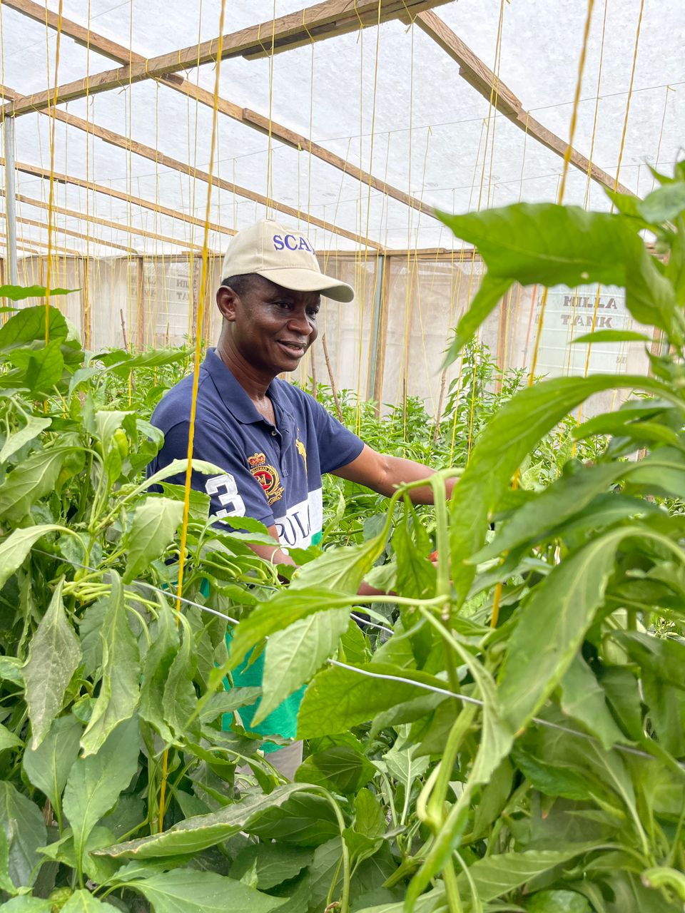 FSRP-Files - FSRP-SL