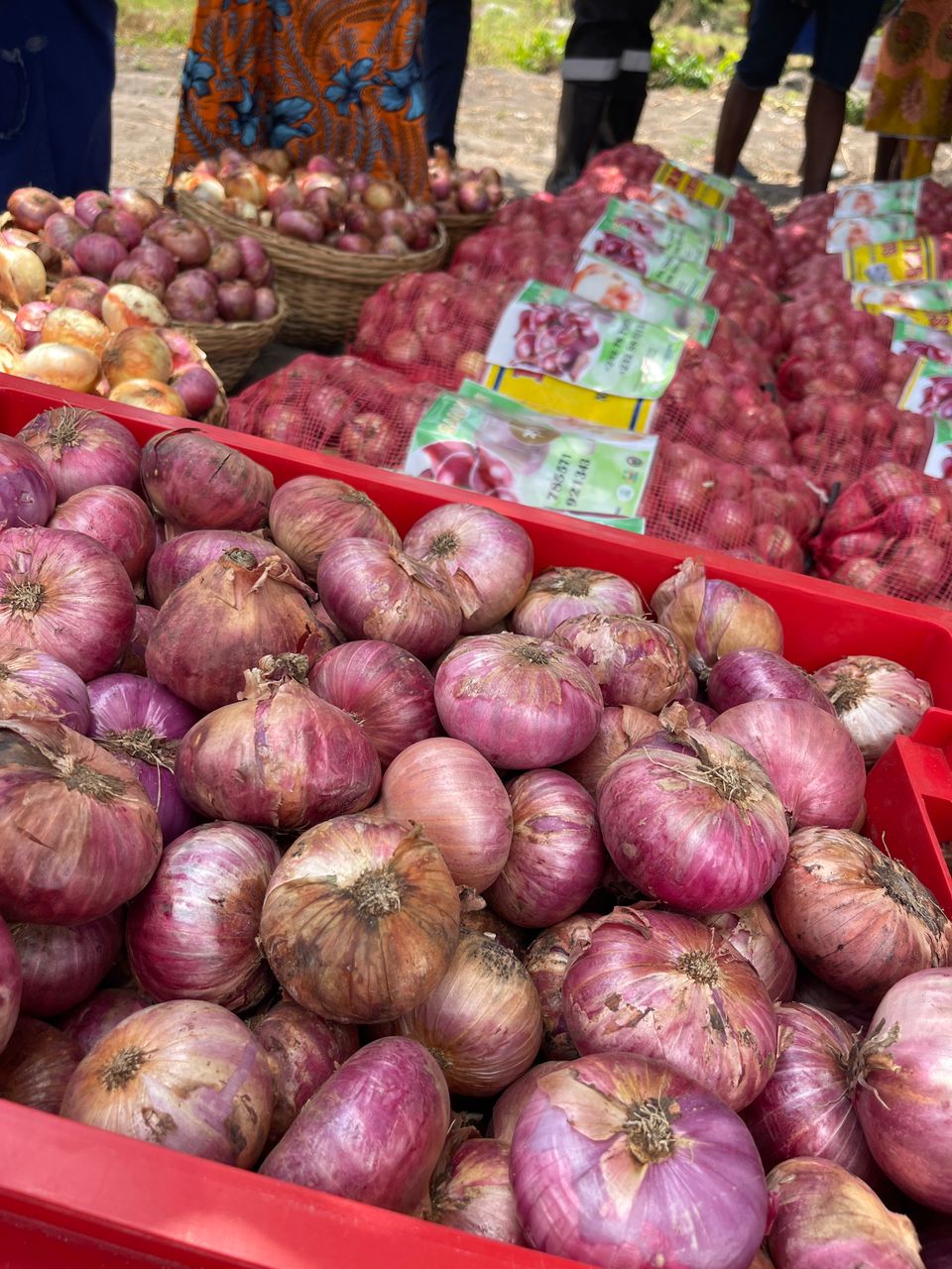 FSRP-Files - FSRP-SL