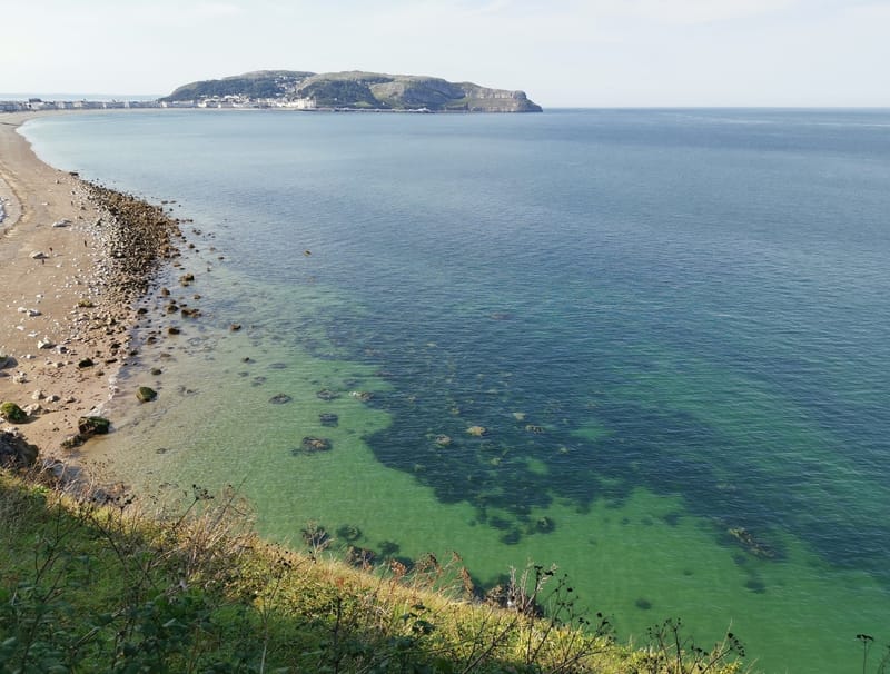 Team - North Wales Limestone Group