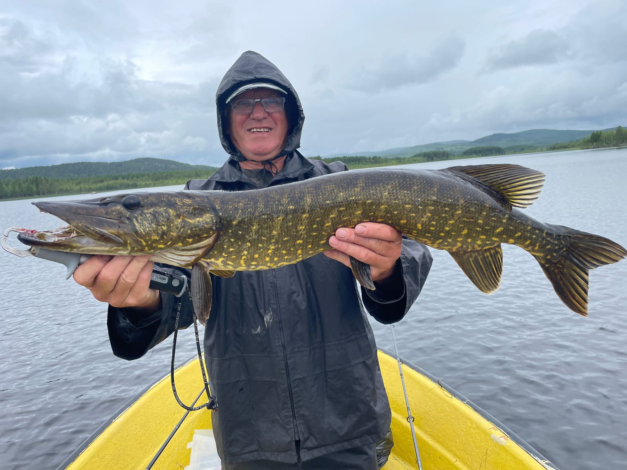 Scandi Fish and Hunt AB - Lapland, the destination for all your dreams ...