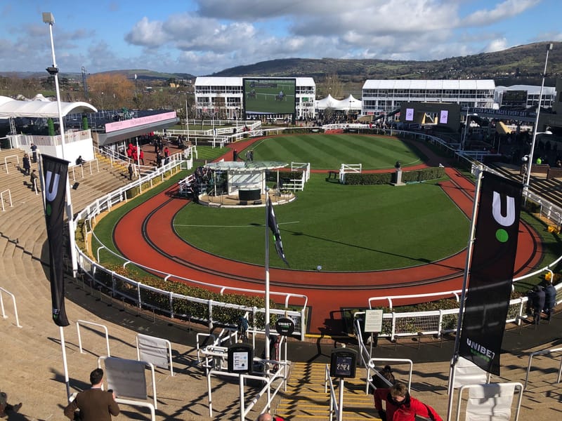 The Parade Ring - Cheltenham Racecourse - Racecourse Advisor